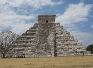 Planner, assessment tasks and knowledge organiser